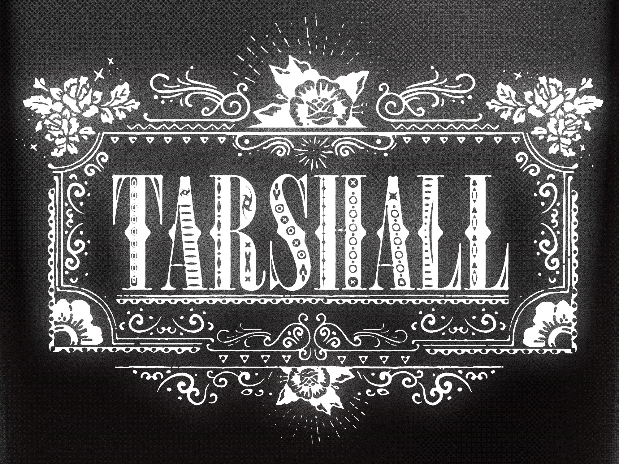 个人作品集 Tarshall Design Portfolio2025_Tarshall-站酷ZCOOL