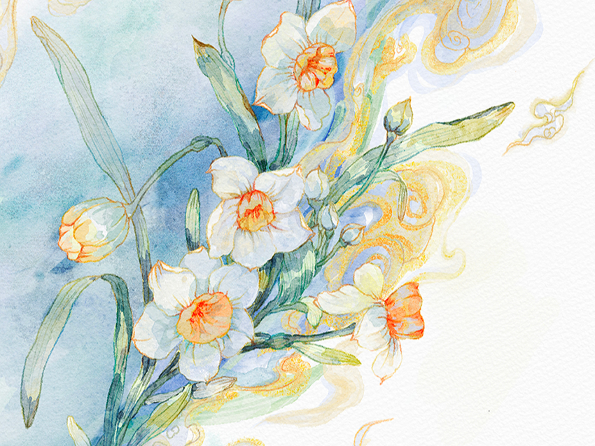 惊蛰－水仙_半月繁花画花花-站酷ZCOOL