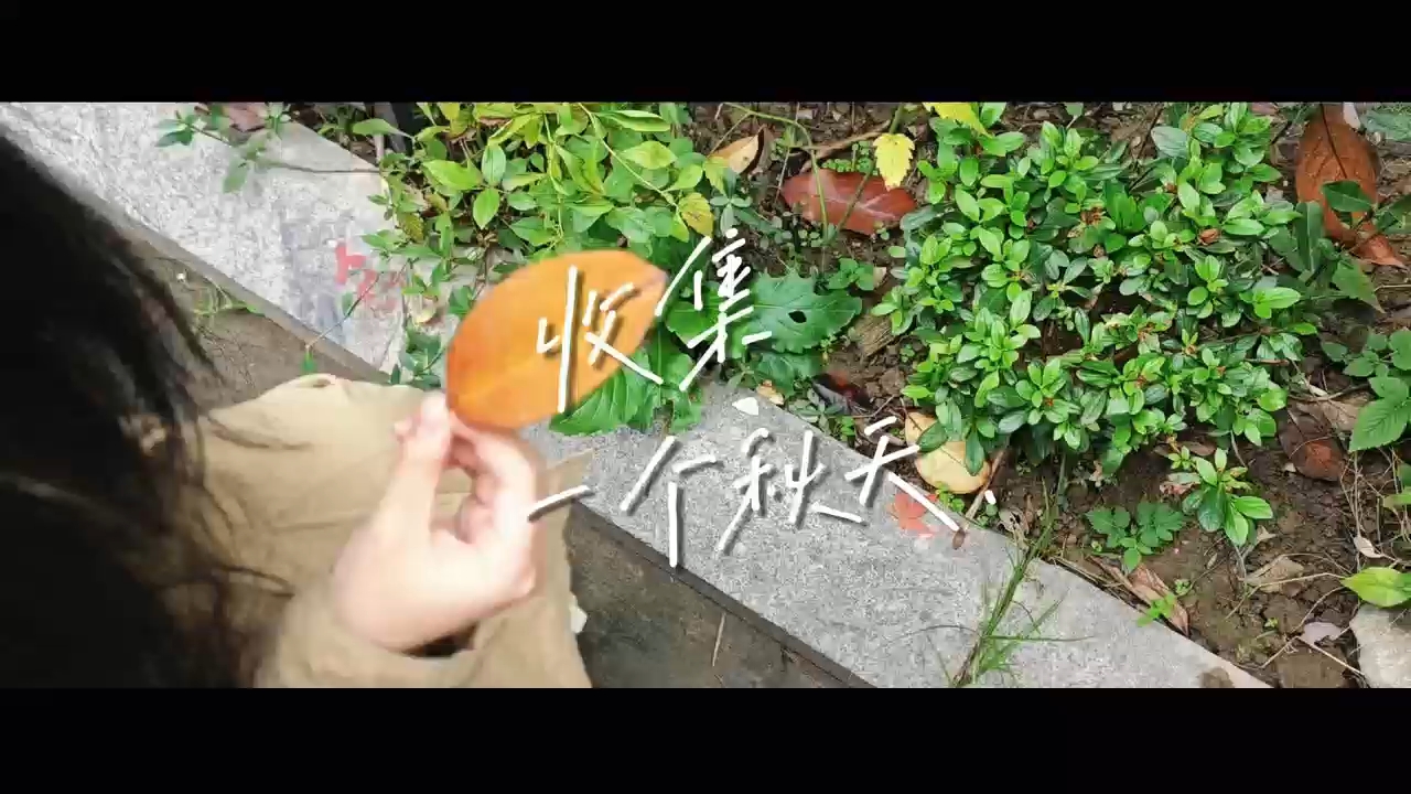 收集一个秋天（积累蒙太奇）_兮030-站酷ZCOOL
