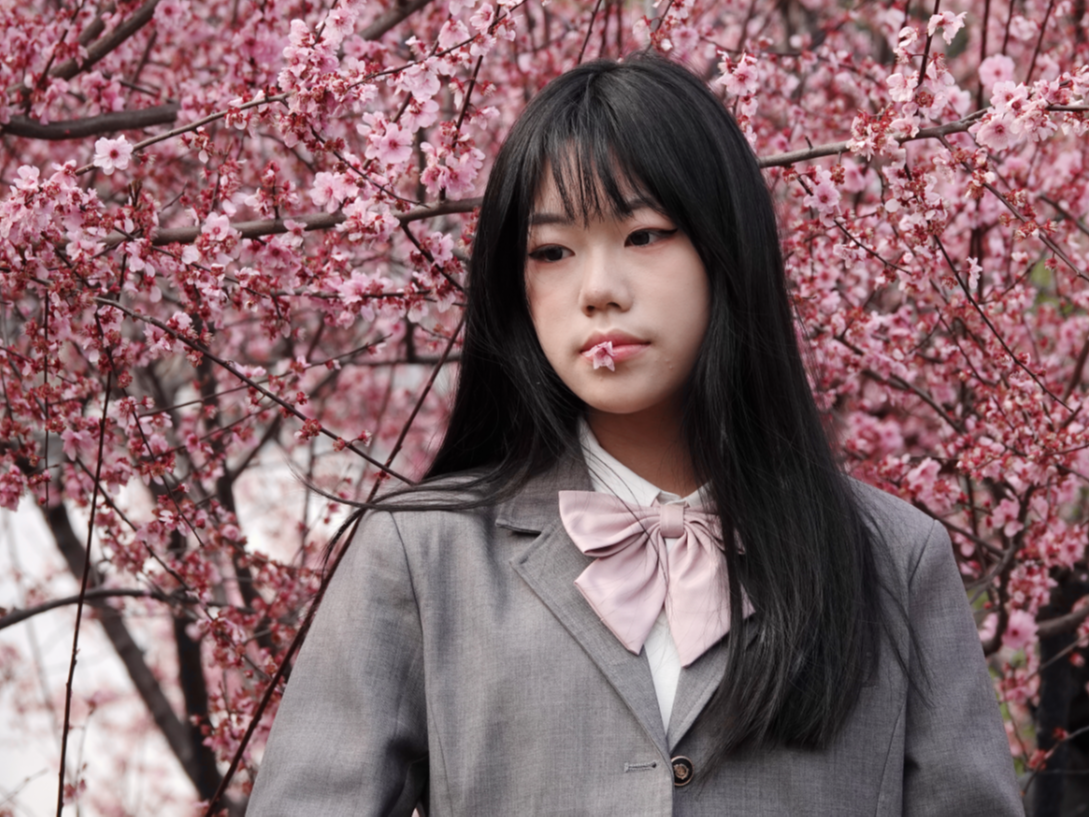 春分武汉樱花摄影_沙僧SEA-站酷ZCOOL