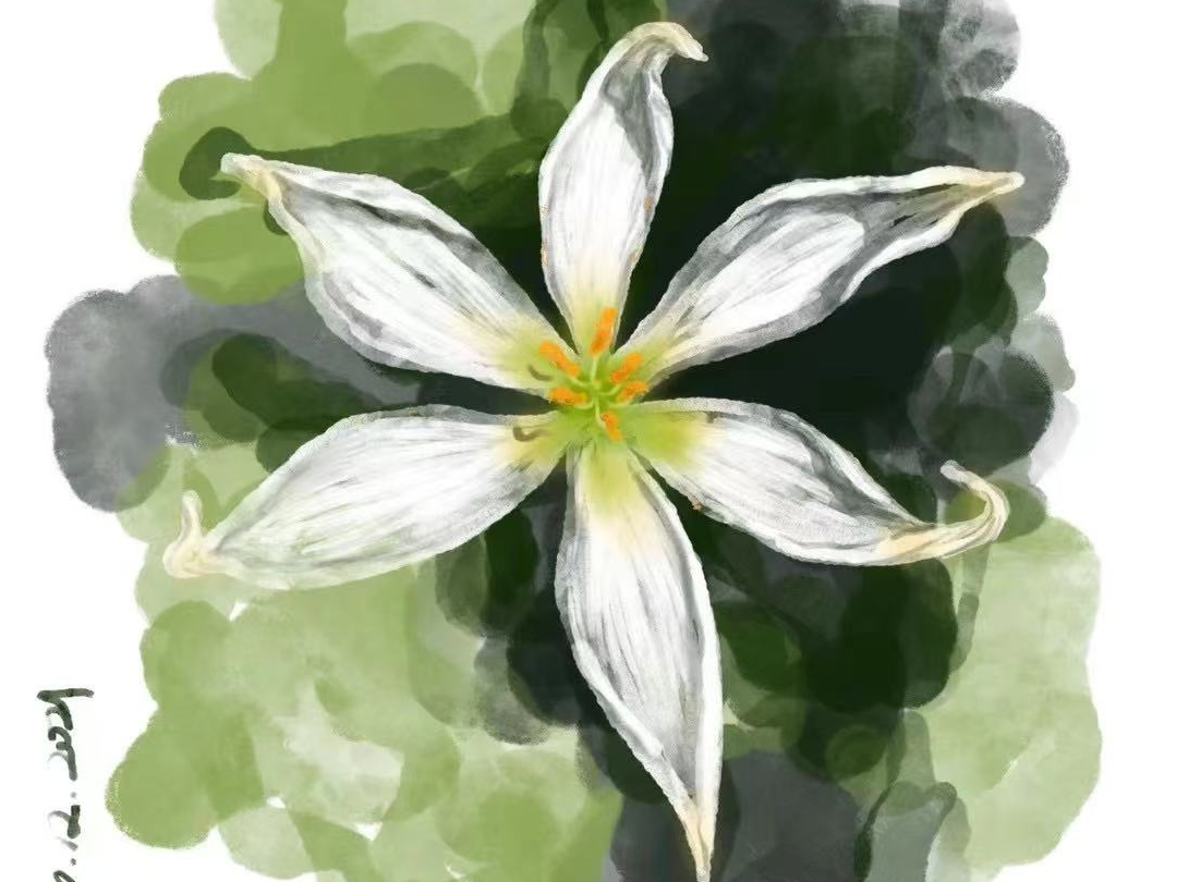 兰之猗猗 扬扬其香_linda_yang888-站酷ZCOOL