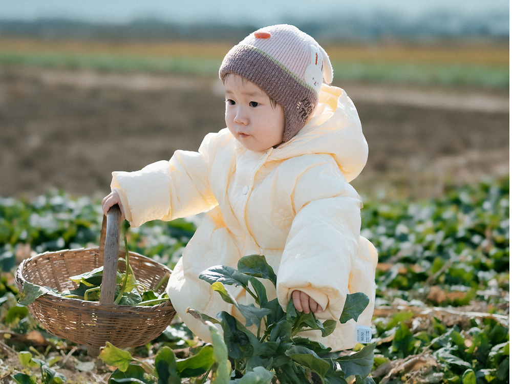 初春暖阳 下地挖菜_viuner-站酷ZCOOL