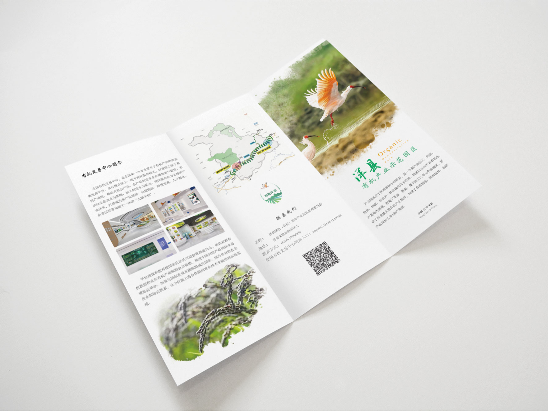 三折彩页设计_创想设计lp-站酷ZCOOL