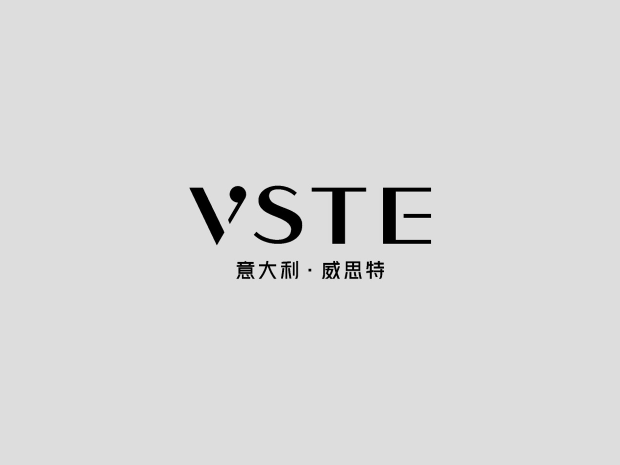 LOGO设计 | 极简风格 | VSTE五金品牌升级全案_智合创意设计-站酷ZCOOL