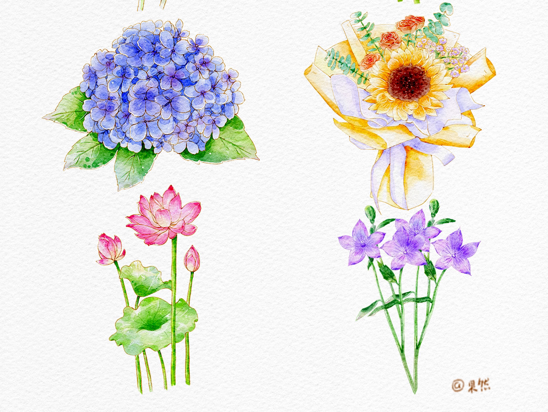 🌷零基础快存！6种iPad水彩花卉保姆级公式_果然24-站酷ZCOOL