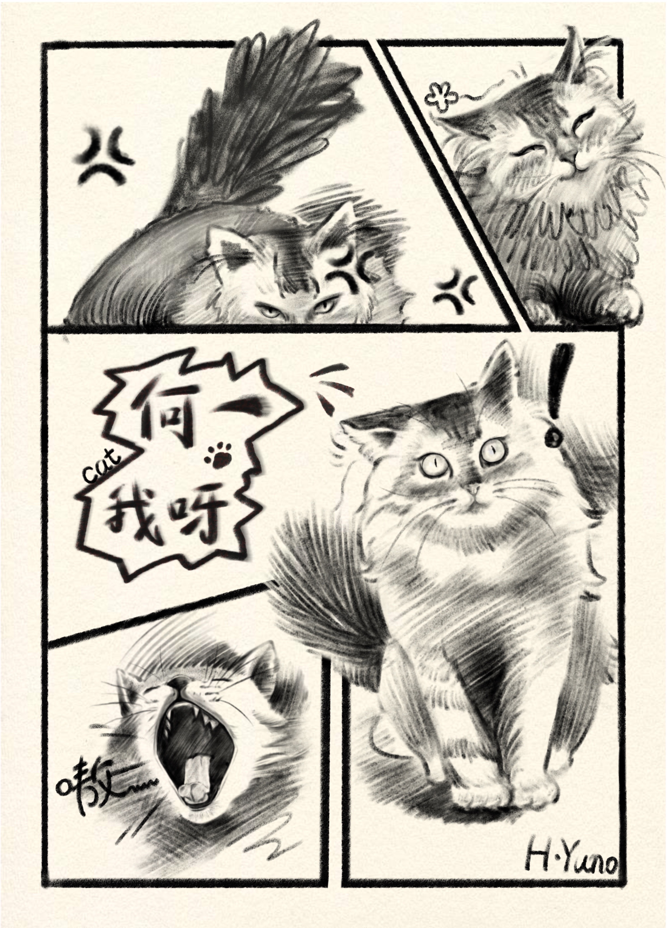 猫猫漫画日记 记录猫咪可爱瞬间 _HYuno-站酷ZCOOL