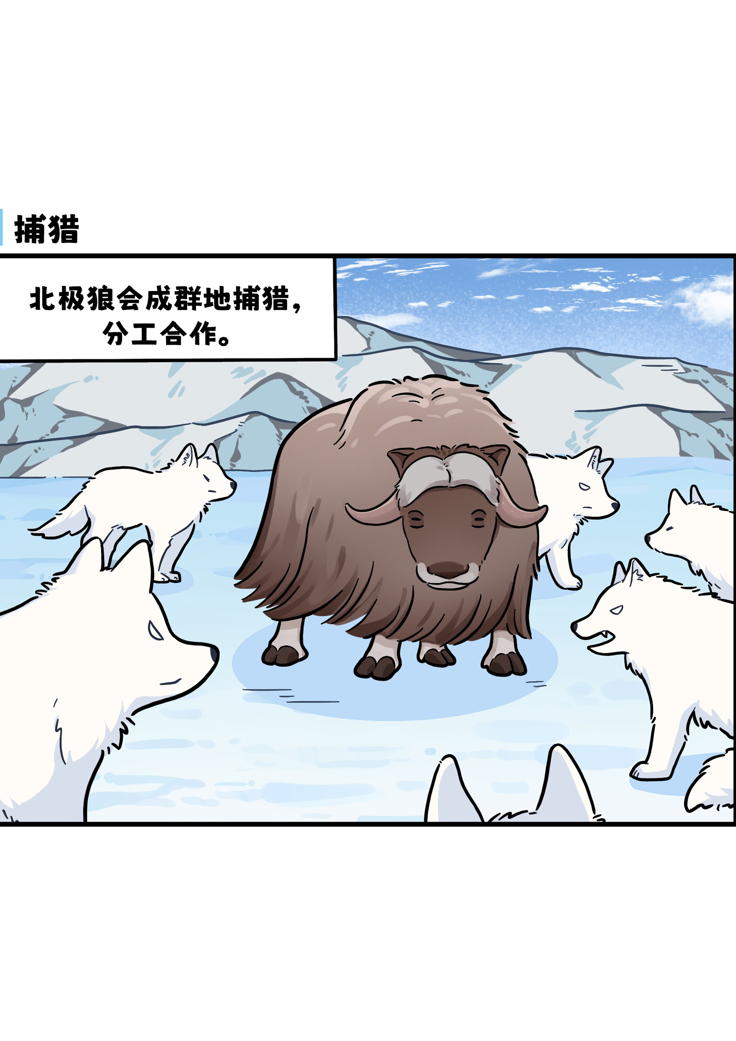 这一刻不自量力被具象化了~_巴蒂Buddy-站酷ZCOOL