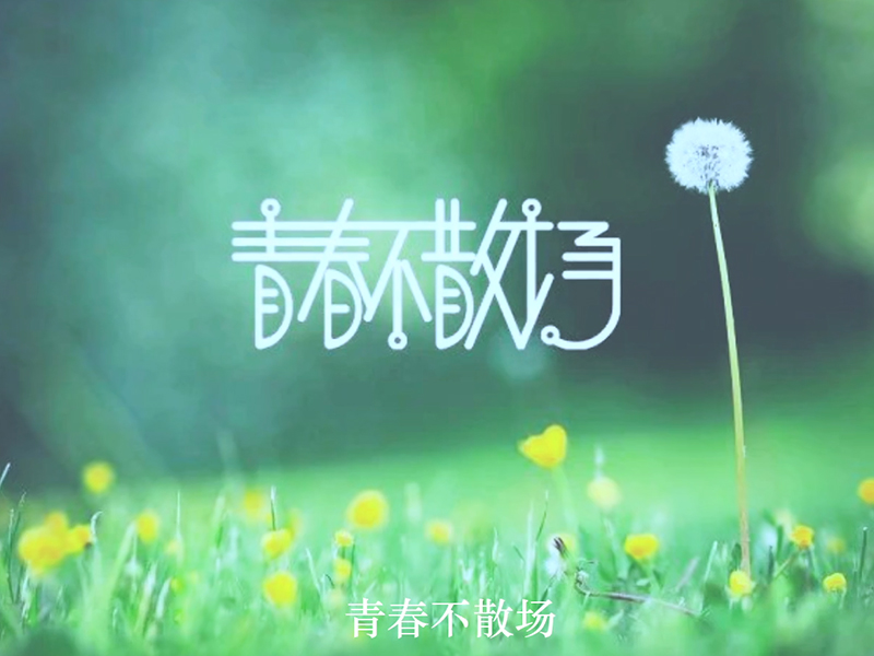 协会毕业欢送会视频拍摄_Juan的设计日常-站酷ZCOOL