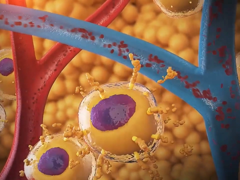 医疗设备心脏扫描CT医学3D动画_极幻数字科技-站酷ZCOOL