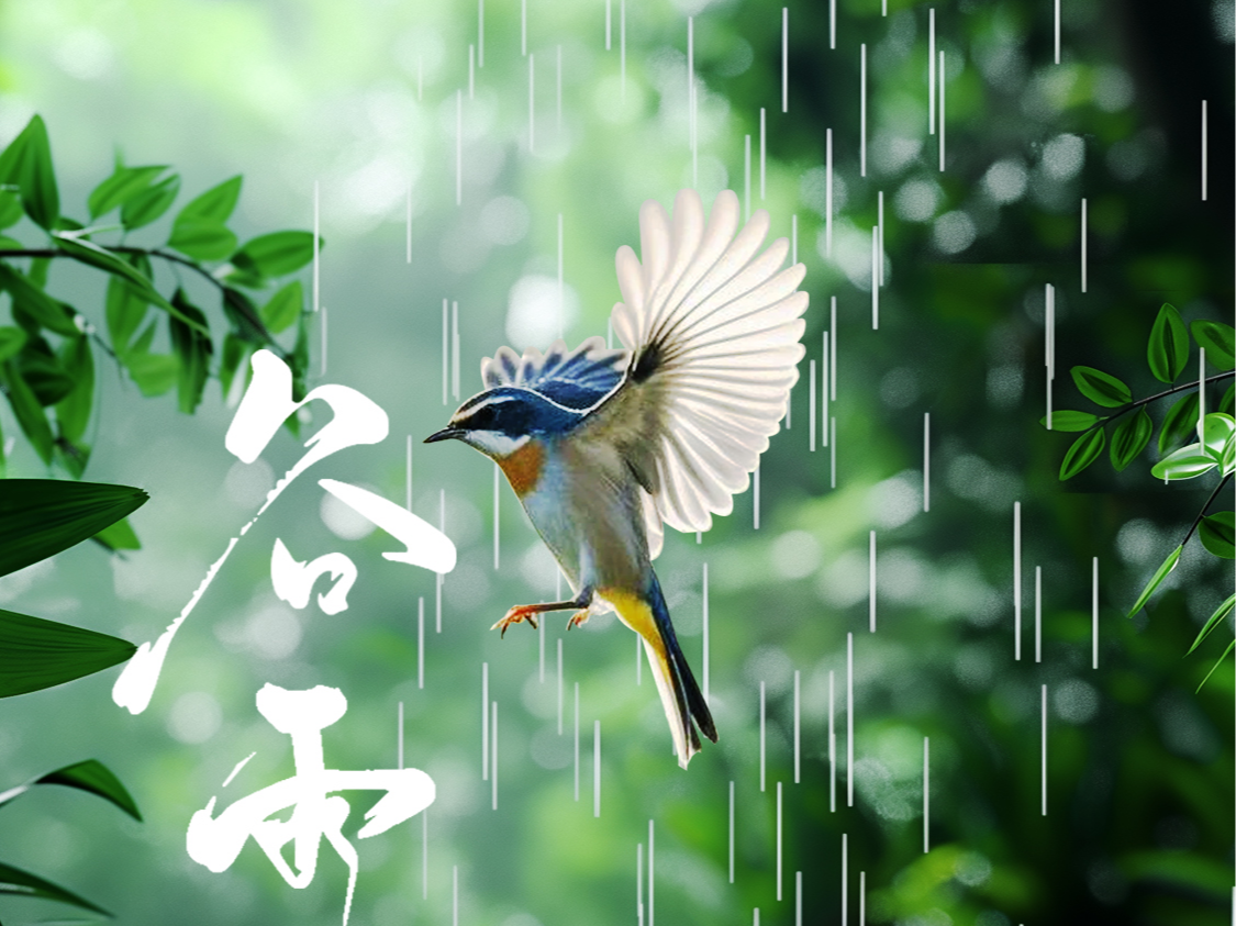 谷雨海报练习_juey02-站酷ZCOOL