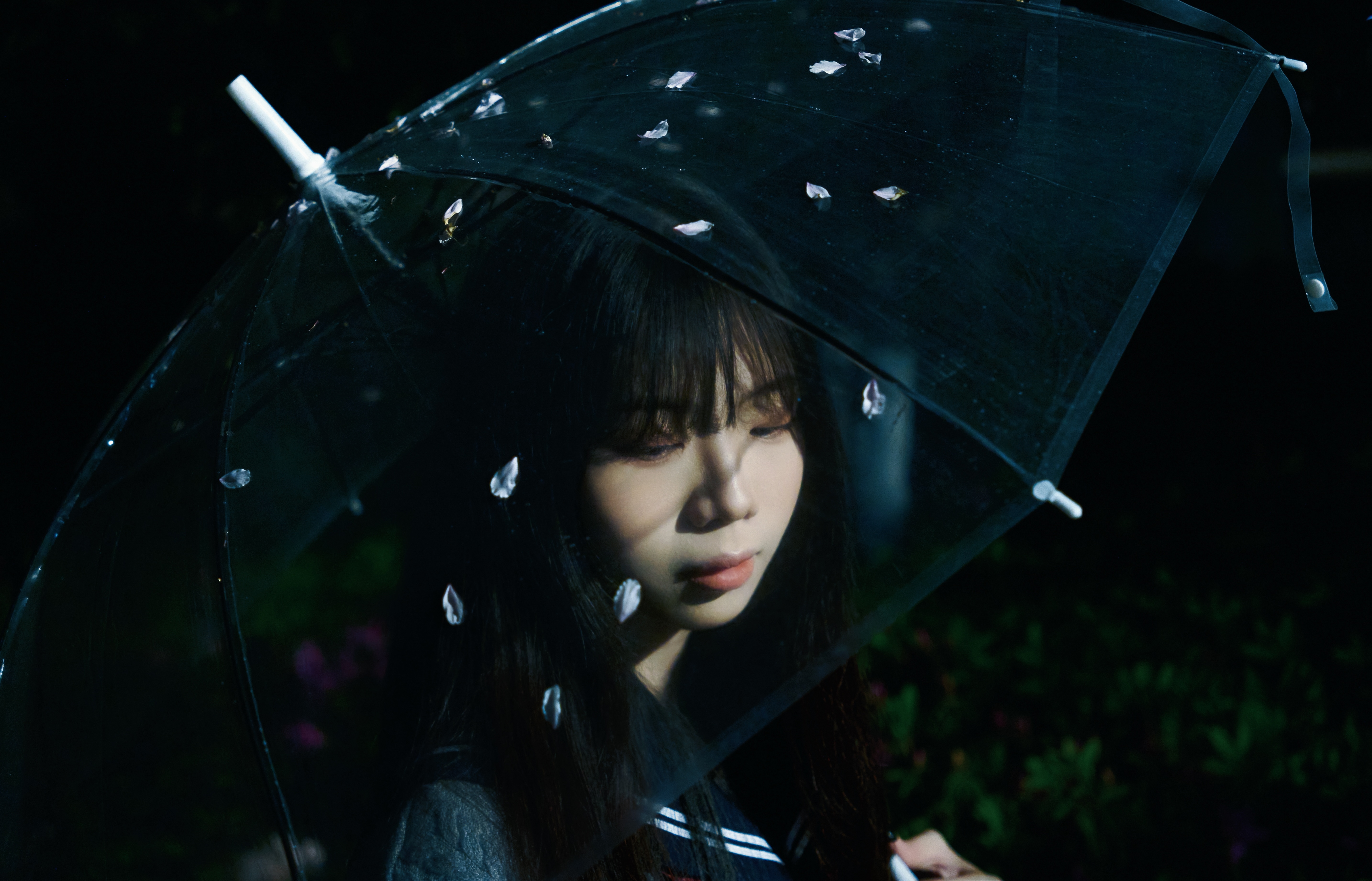 晚樱Spring_洛希welcome-站酷ZCOOL