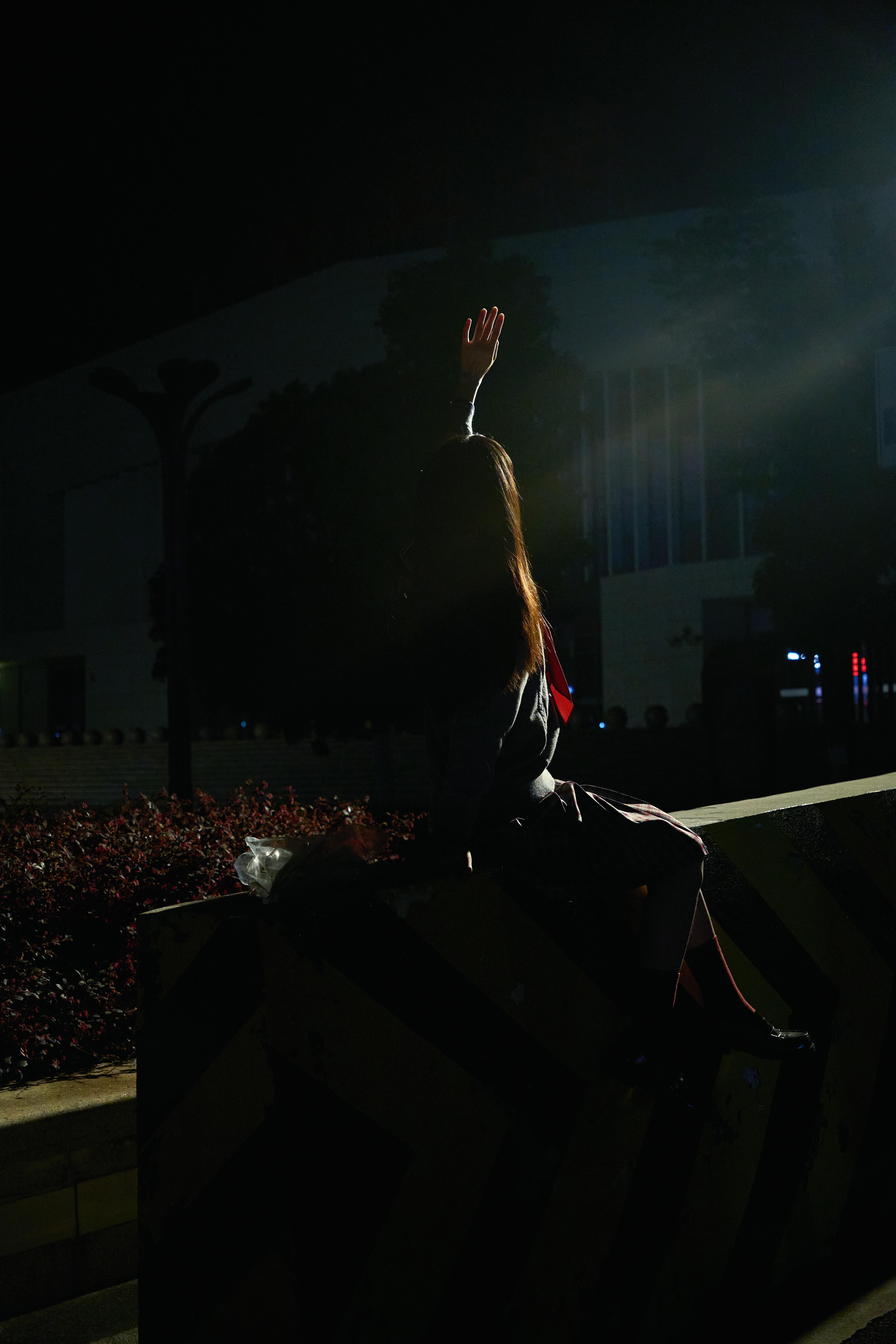 晚樱Spring_洛希welcome-站酷ZCOOL