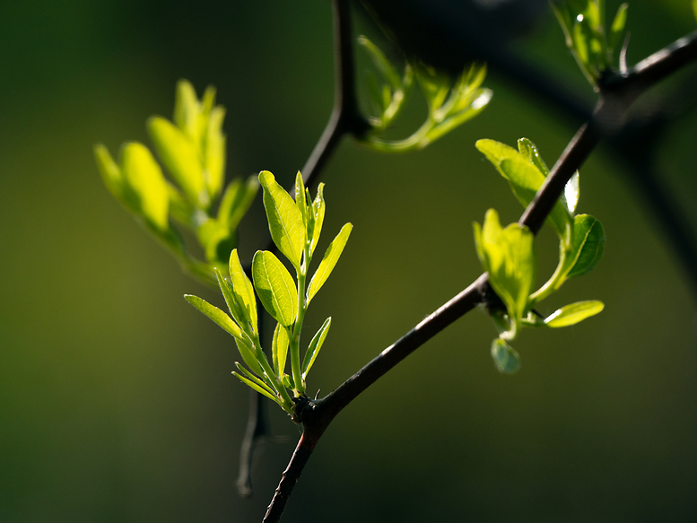 田园时光_海辉_haihui-站酷ZCOOL