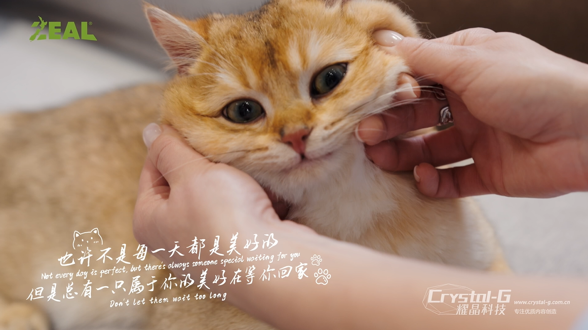 zeal_世界动物日TVC_耀晶视觉-站酷ZCOOL