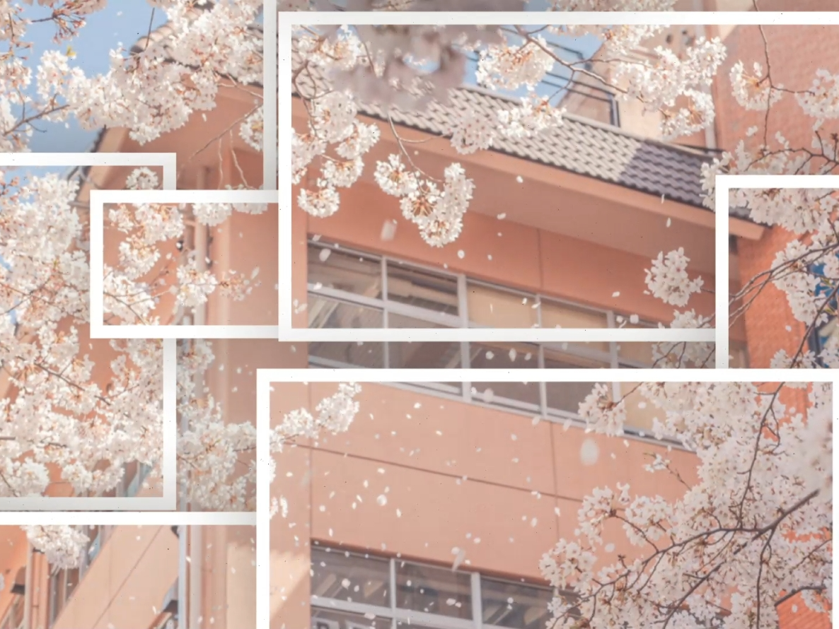 信息流壁纸_境界的彼方1-站酷ZCOOL