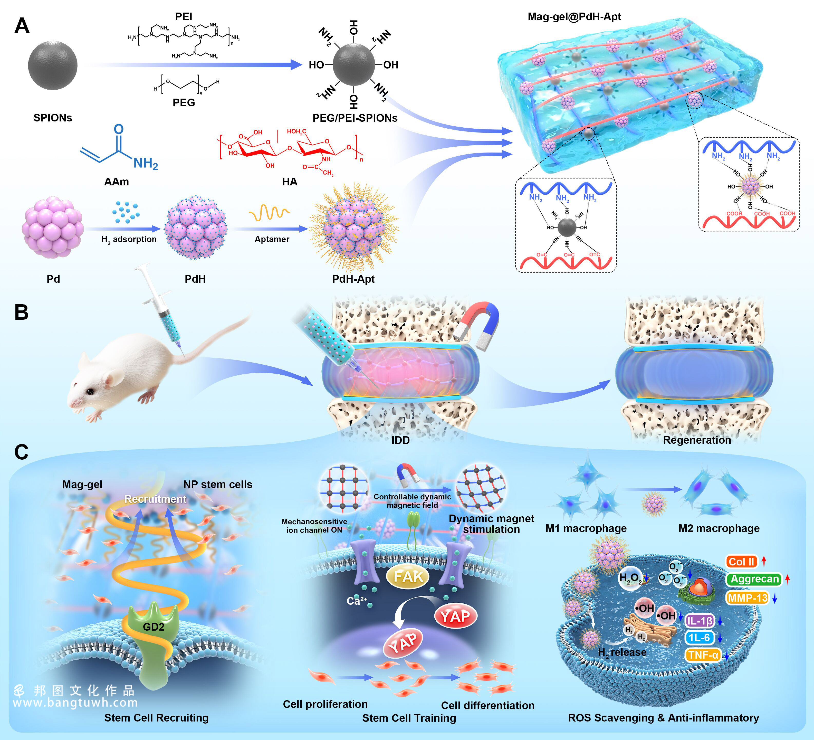 论文配图设计 示意图 TOC作品展示_邦图文化-站酷ZCOOL