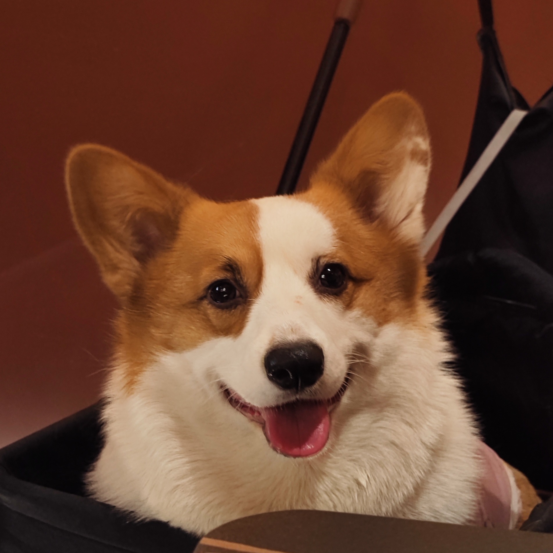 Eason_Wu创作者主页_长春UI设计师-站酷ZCOOL