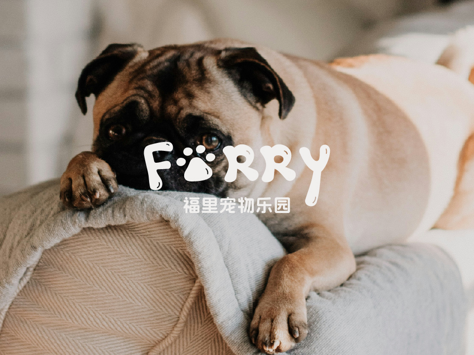 furry_素材网站_图片免费下载-ZCOOL站酷