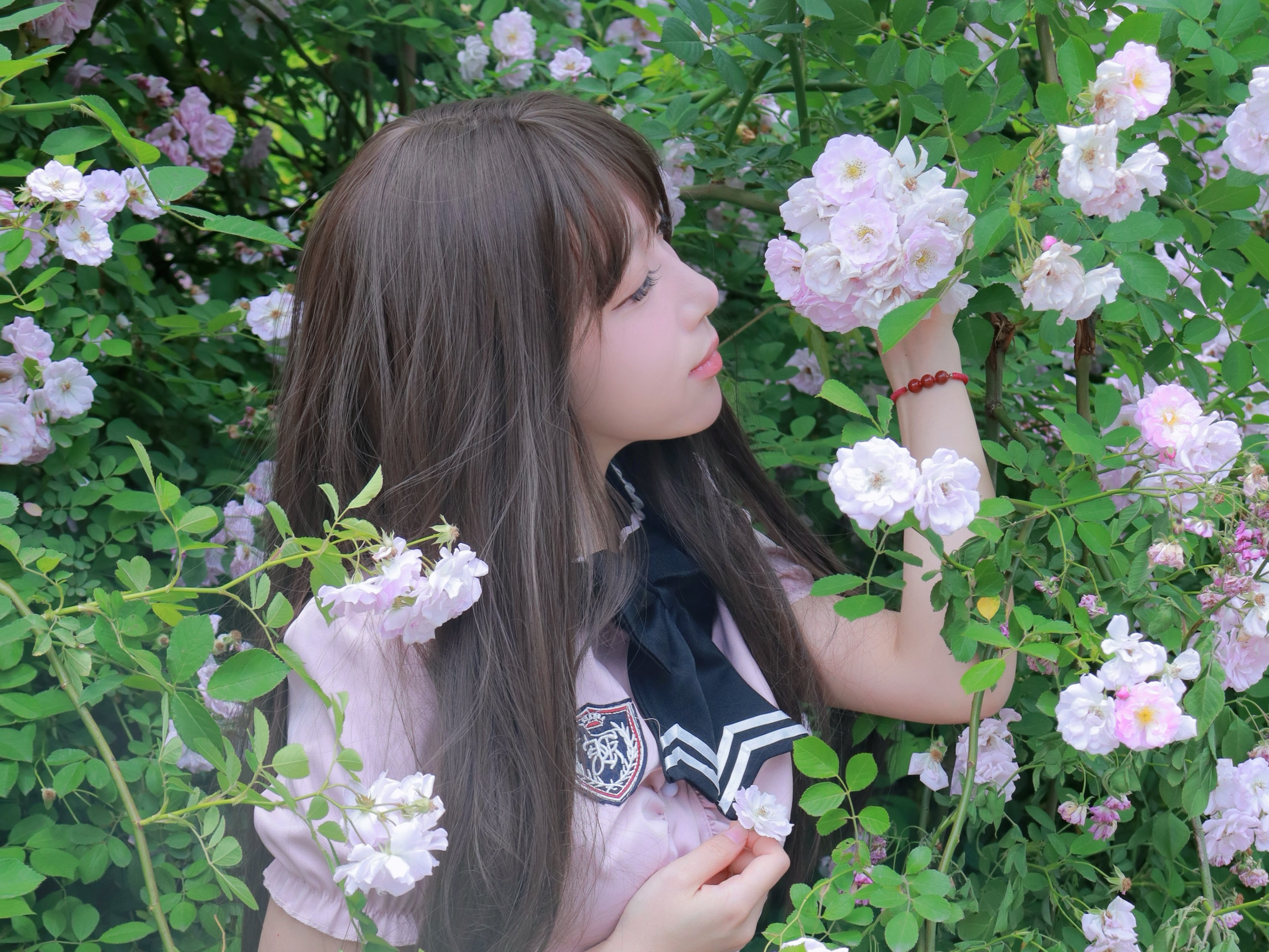 蔷薇花下_静忆木-站酷ZCOOL