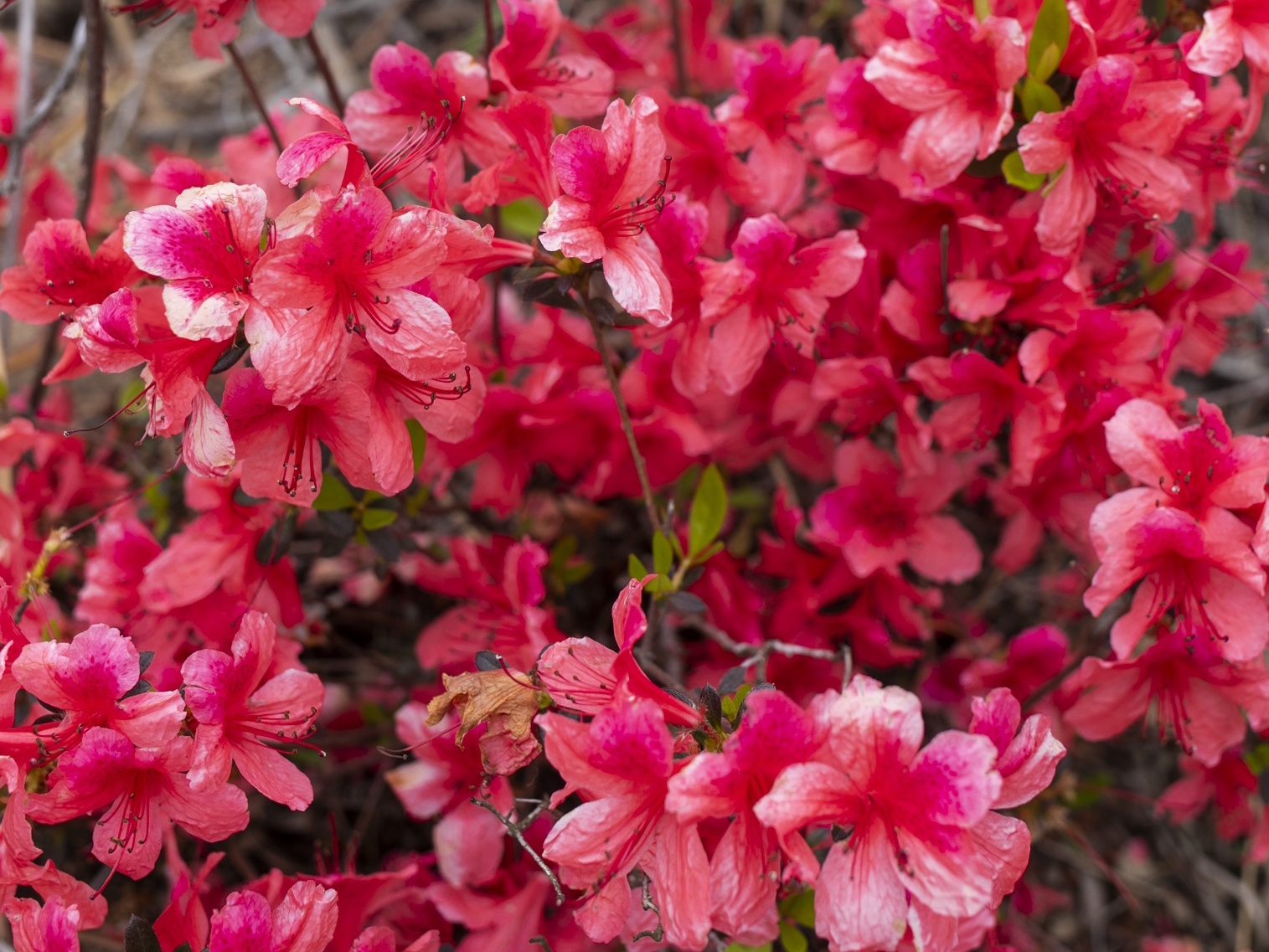 面朝大海，春暖花开_钟进铃-站酷ZCOOL