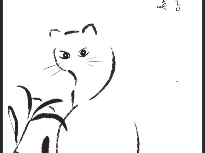 一只猫_Qzbnl7sHGp-站酷ZCOOL