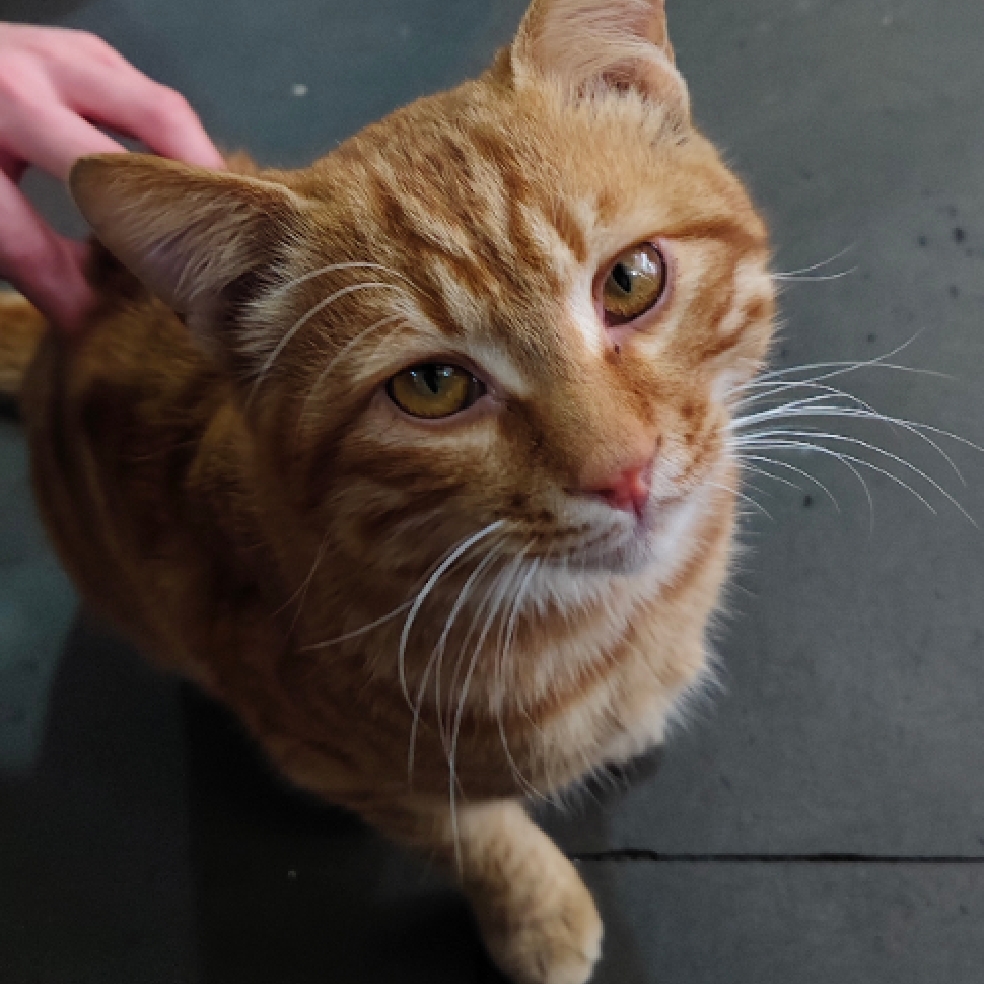 LNTANO000创作者主页_重庆学生-站酷ZCOOL