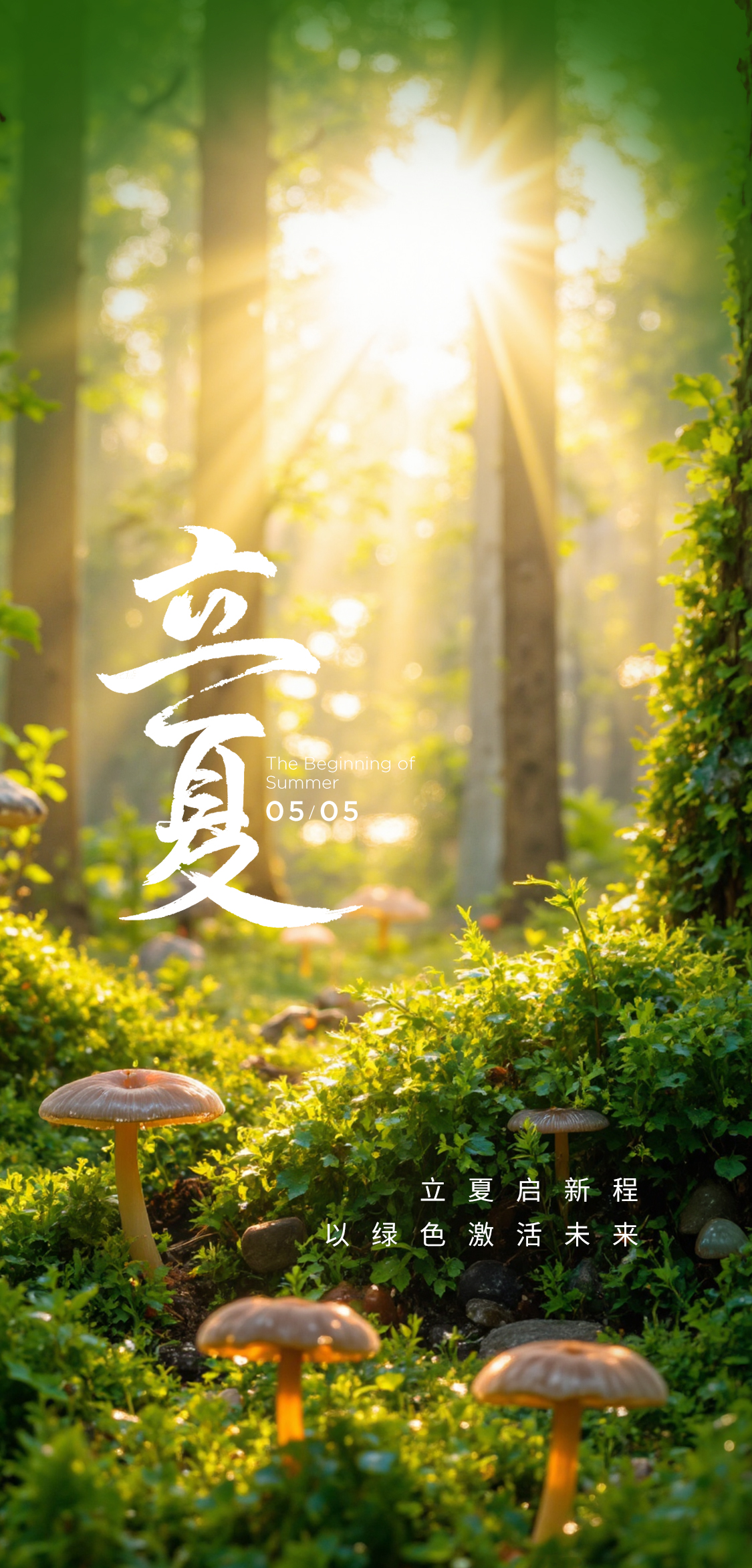 立夏海报_juey02-站酷ZCOOL