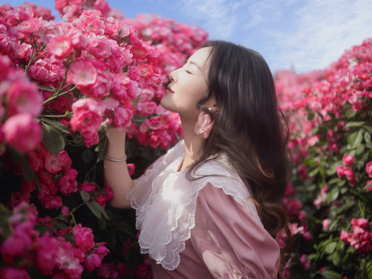 蔷薇花_Jenny不愿婷留-站酷ZCOOL