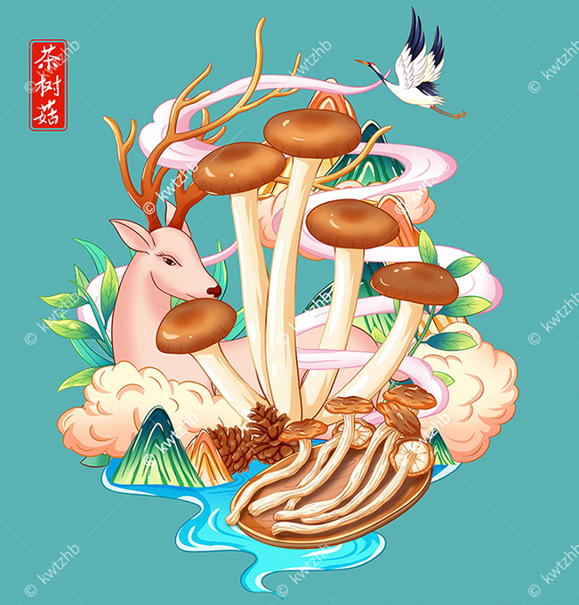 茶树菇插画手绘_kwtzhb-站酷ZCOOL