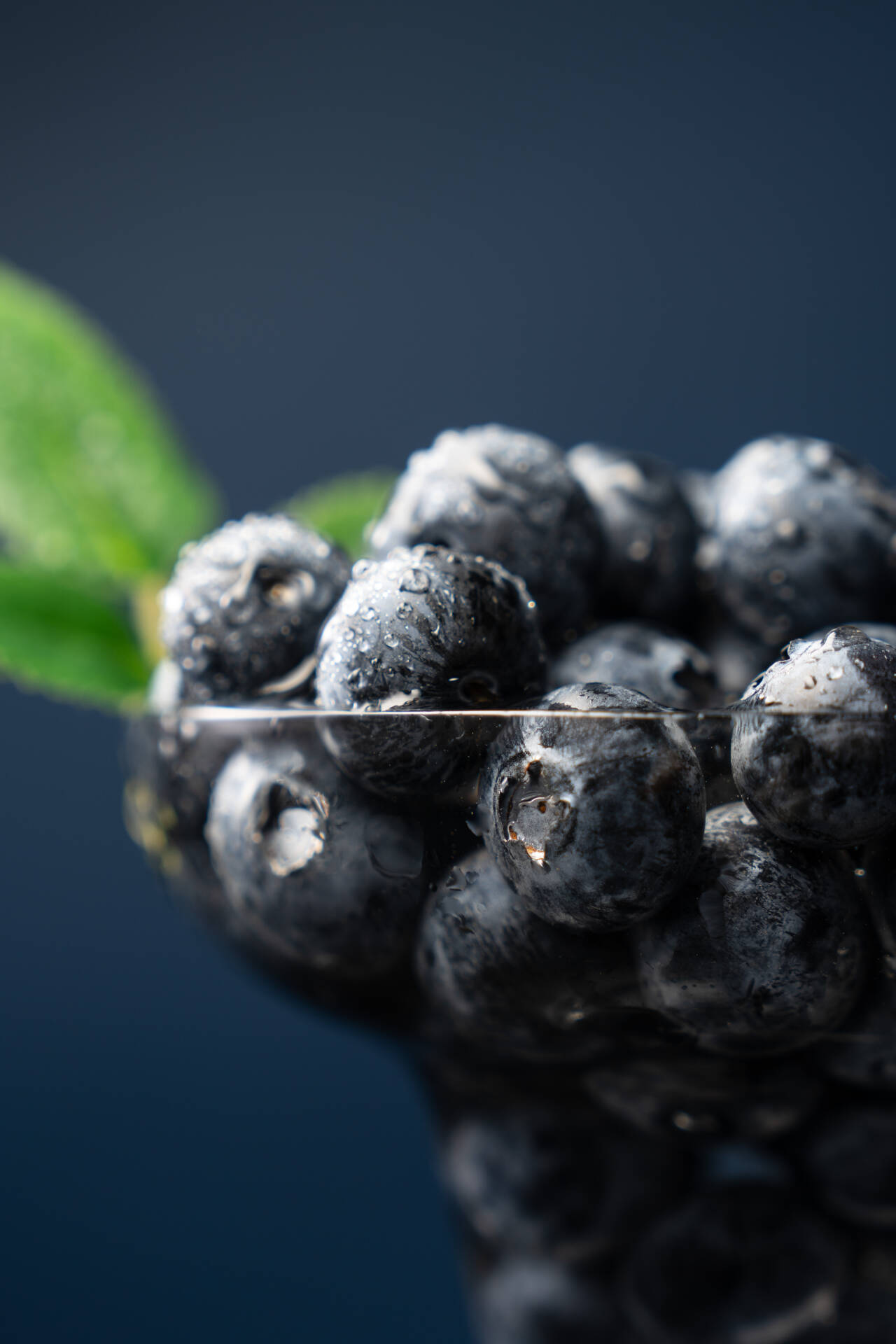 蓝莓_Eric马仔-站酷ZCOOL