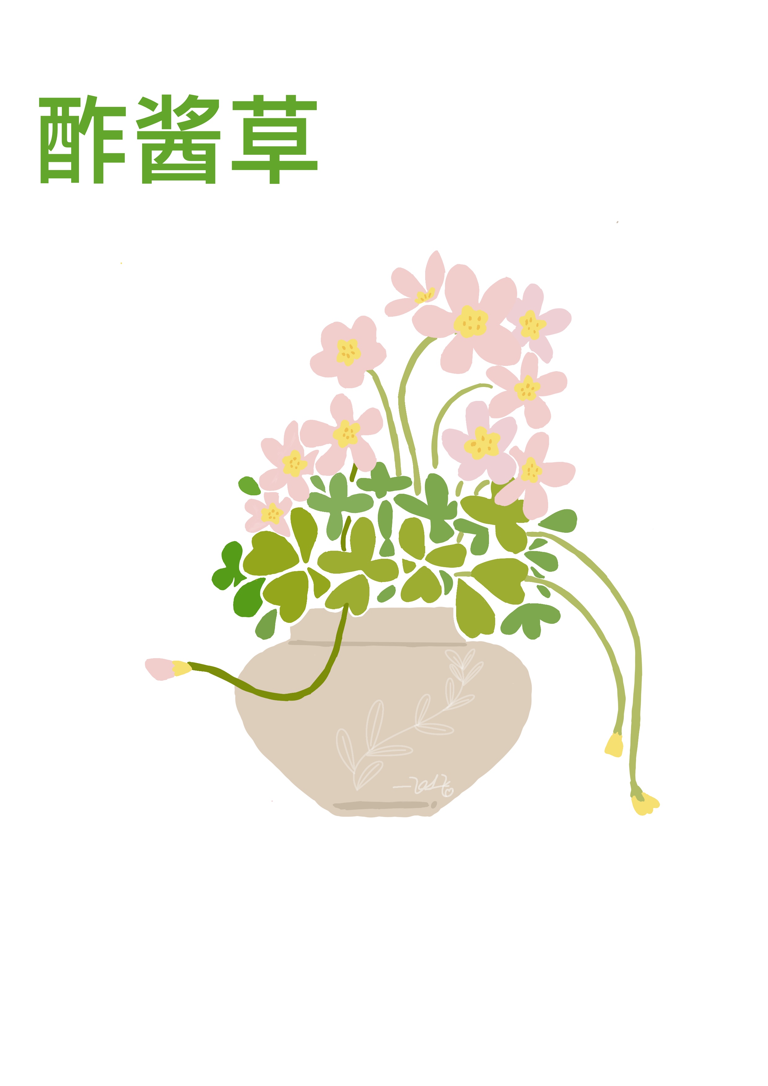 酢酱草_飞小飞不会飞-站酷ZCOOL