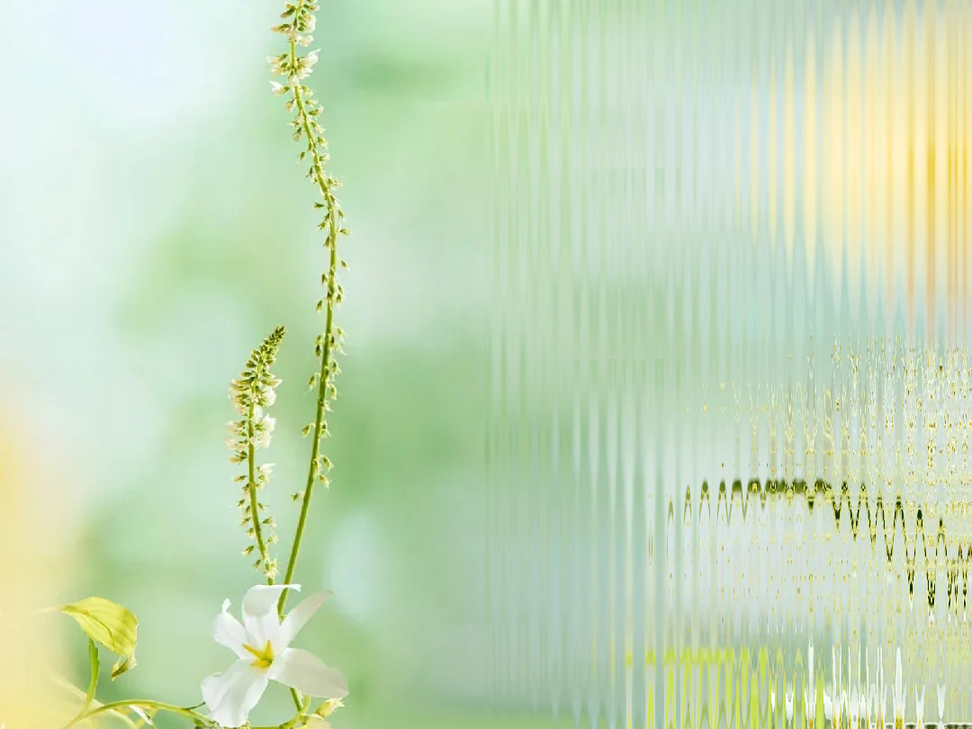 长虹玻璃图片_左左素材-站酷ZCOOL