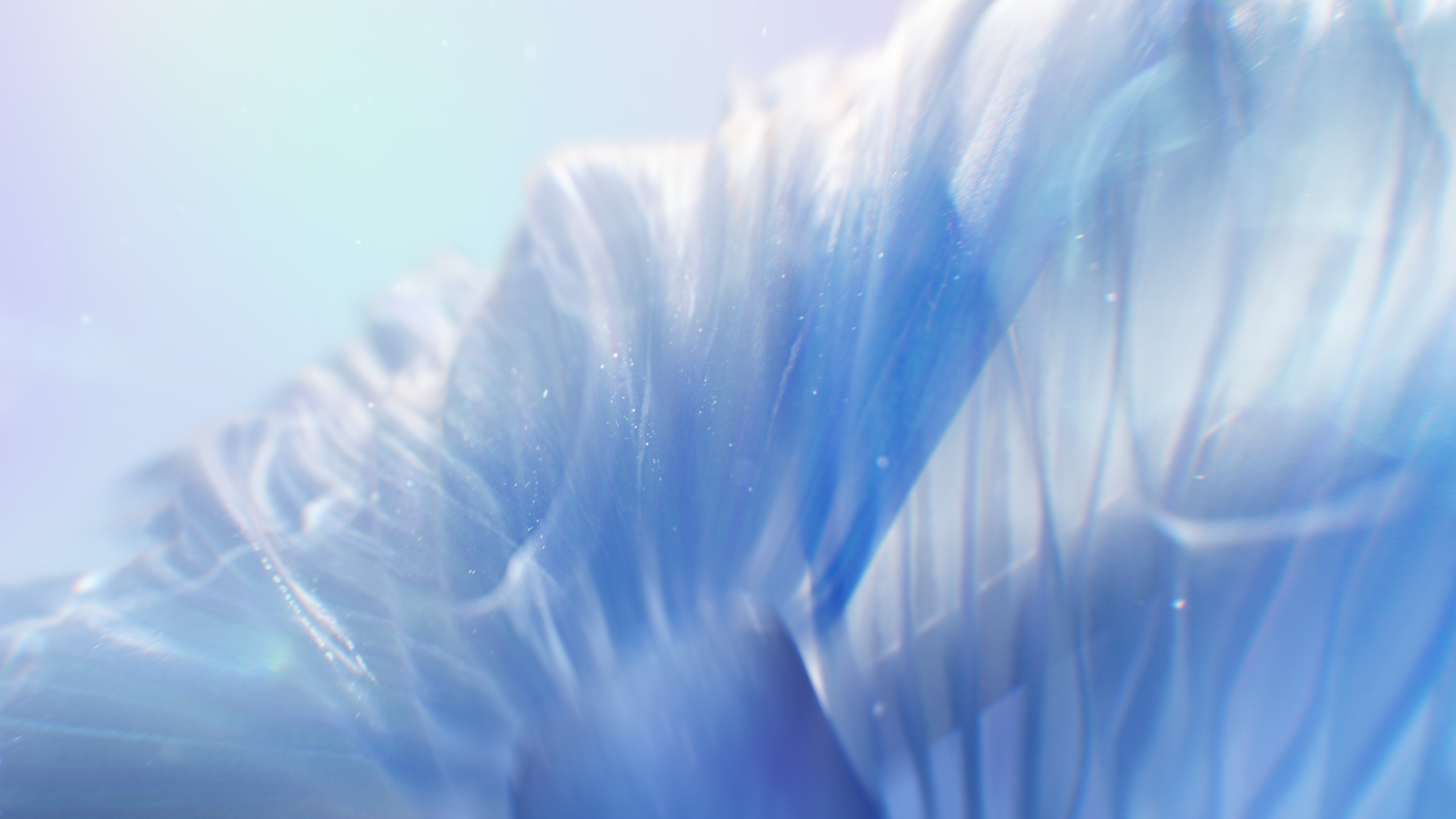 OPPO Reno14宣传视频_BOBO引力波-站酷ZCOOL