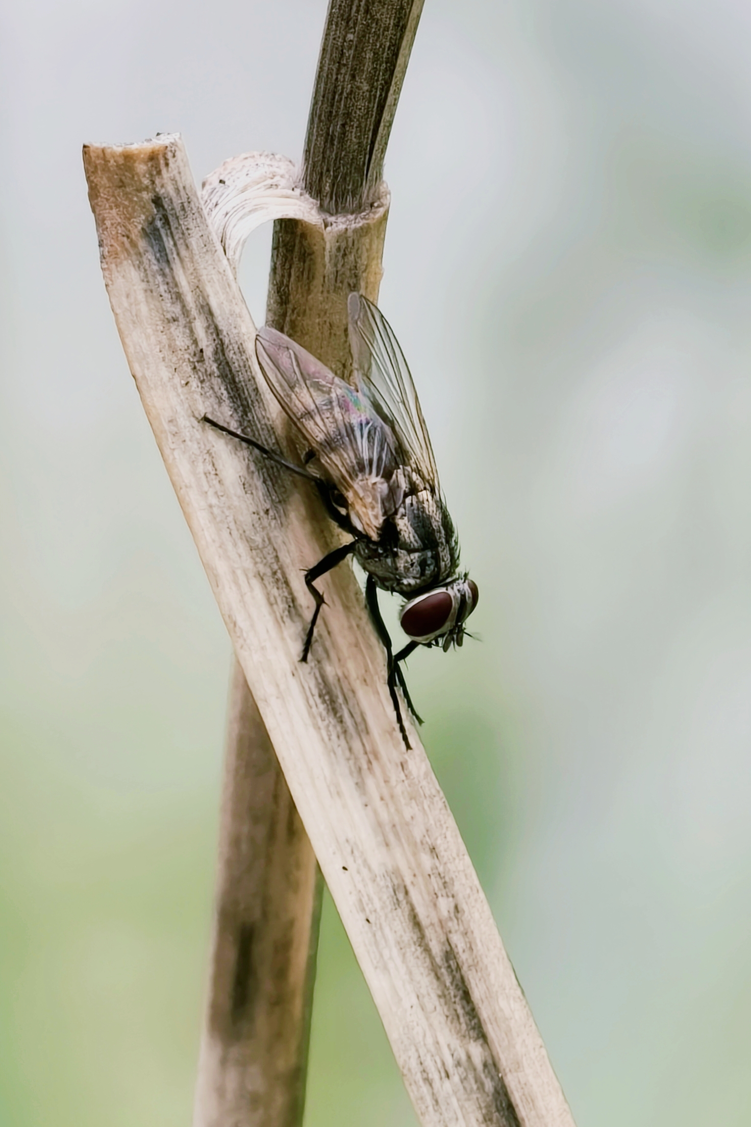 手机随拍_摄影师王捷-站酷ZCOOL