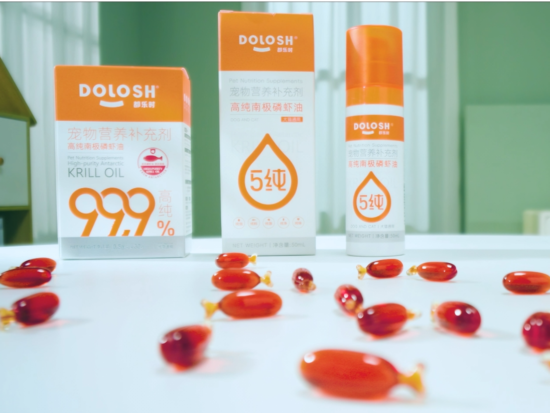 4k宣传片_素材网站_图片免费下载-ZCOOL站酷