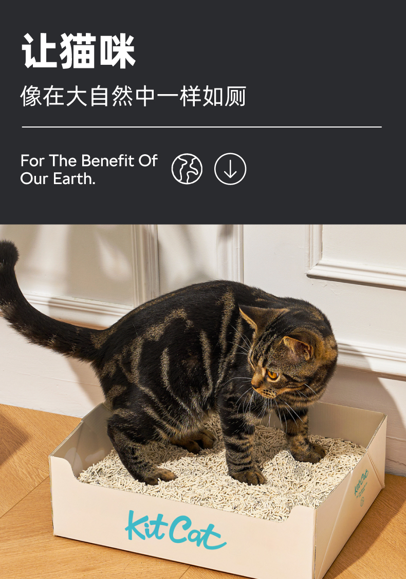 让猫咪像在大自然中如厕——《Kit Cat》猫砂_喵、无邪-站酷ZCOOL