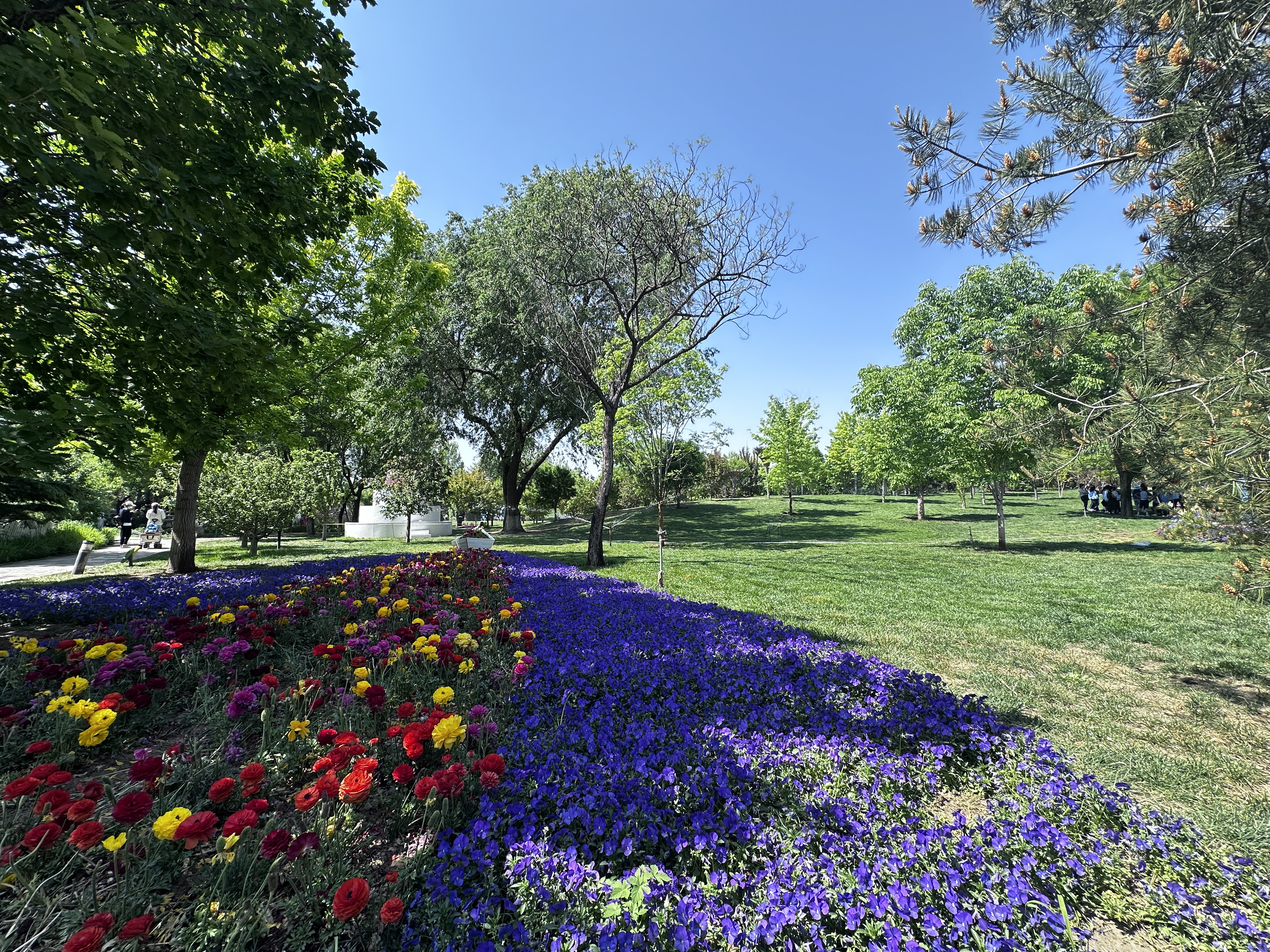 风景照一组_Z202327551-站酷ZCOOL