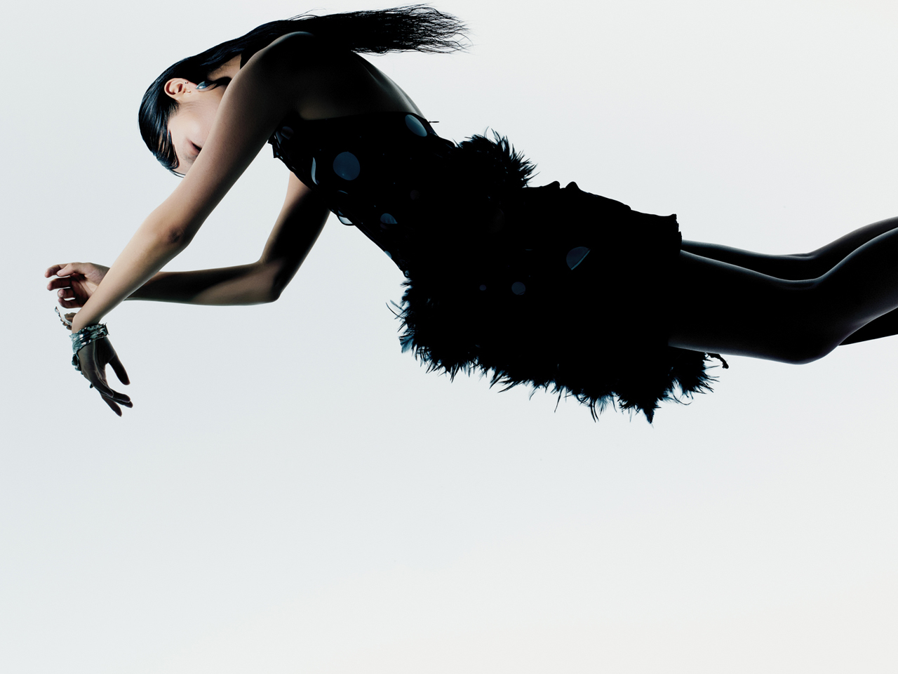 鸟羽 / 被驯化的飞翔欲_无限TX-站酷ZCOOL