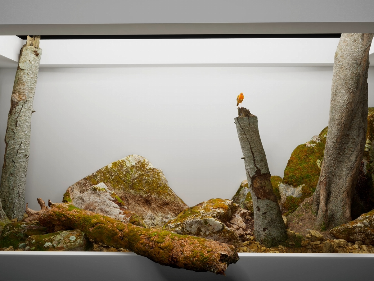 UE场景制作，VR全景，CAVE展馆，裸眼3D_性感UE在线拉活儿-站酷ZCOOL