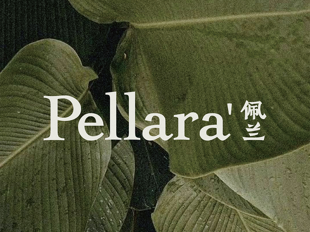 Pellara佩兰植物_ZHHHHH_-站酷ZCOOL