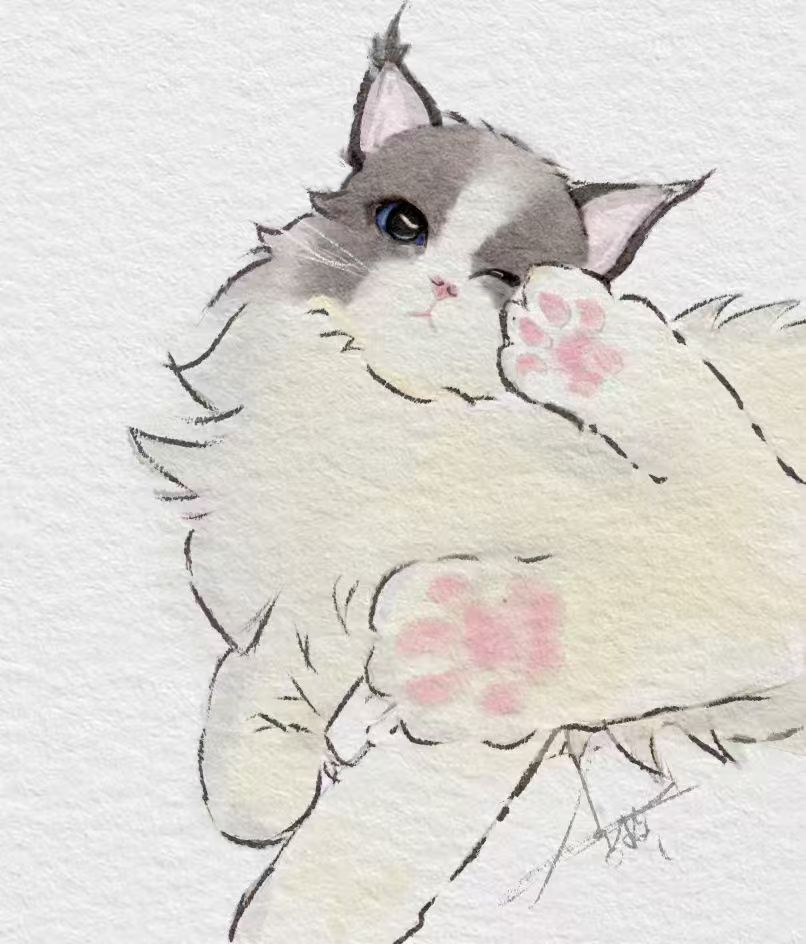 是猫咪哦_Z315681416-站酷ZCOOL