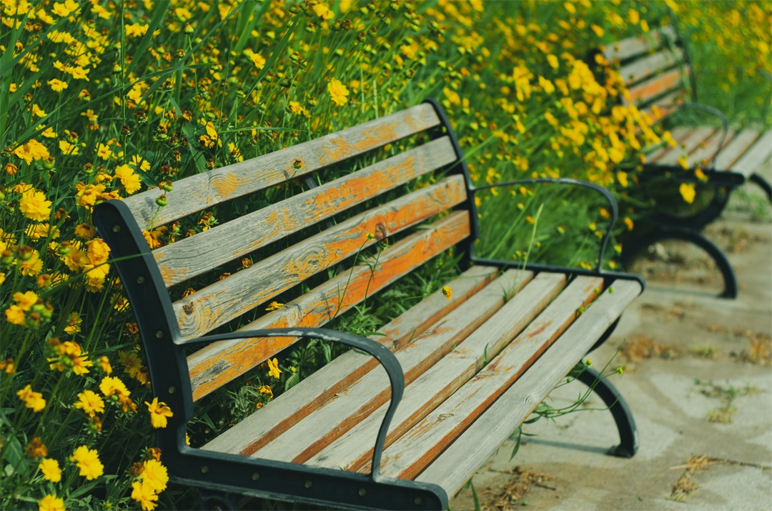 练习_冉阿让的宾得K5-站酷ZCOOL