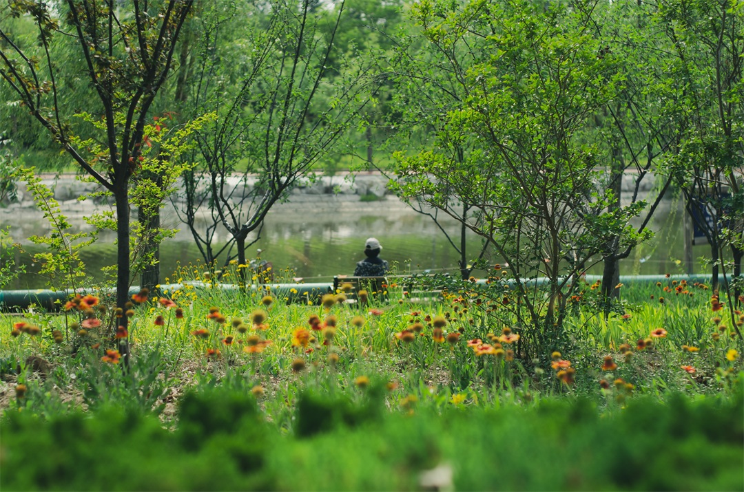 练习_冉阿让的宾得K5-站酷ZCOOL