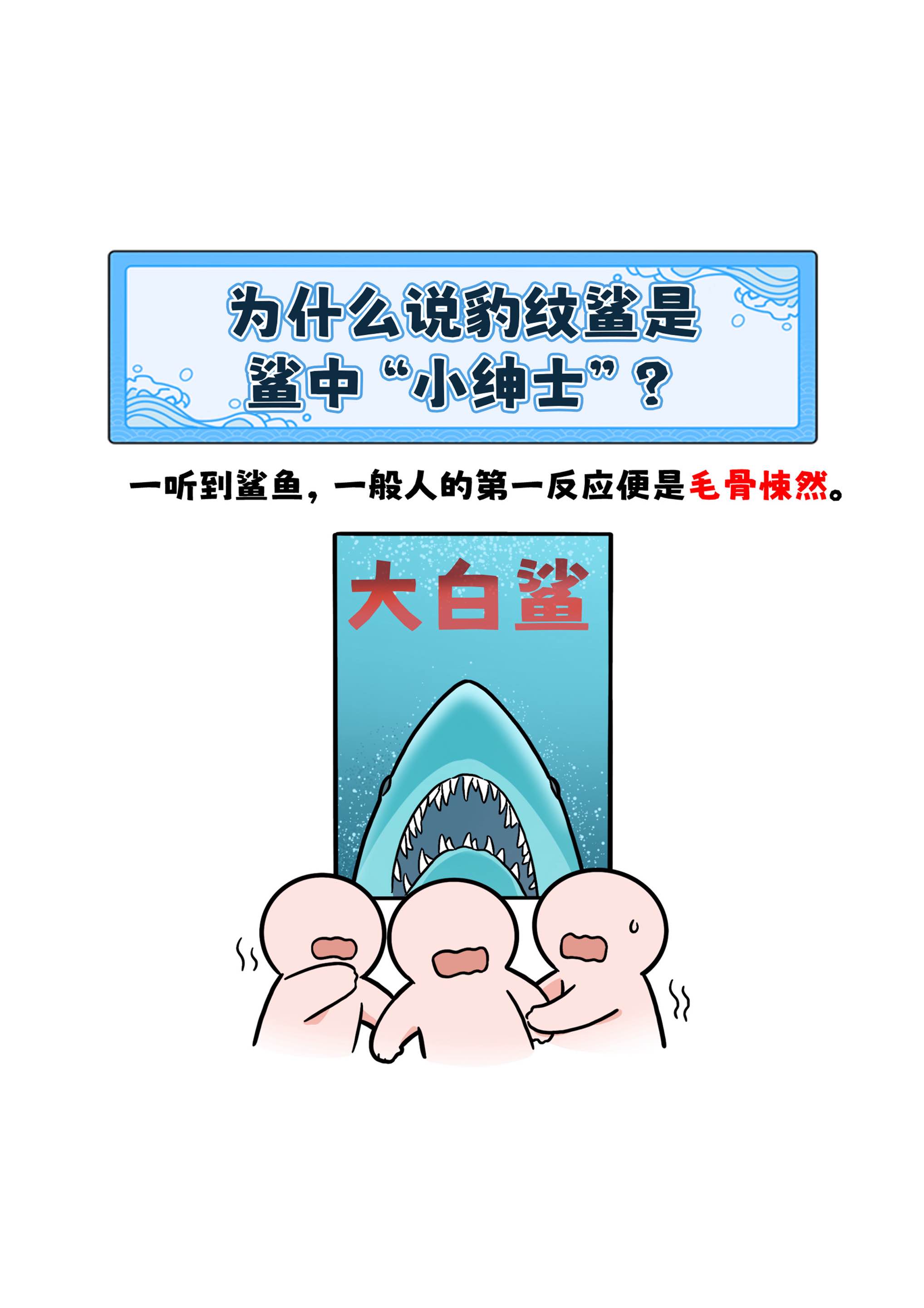 为什么说豹纹鲨是鲨中小绅士？_巴蒂Buddy-站酷ZCOOL