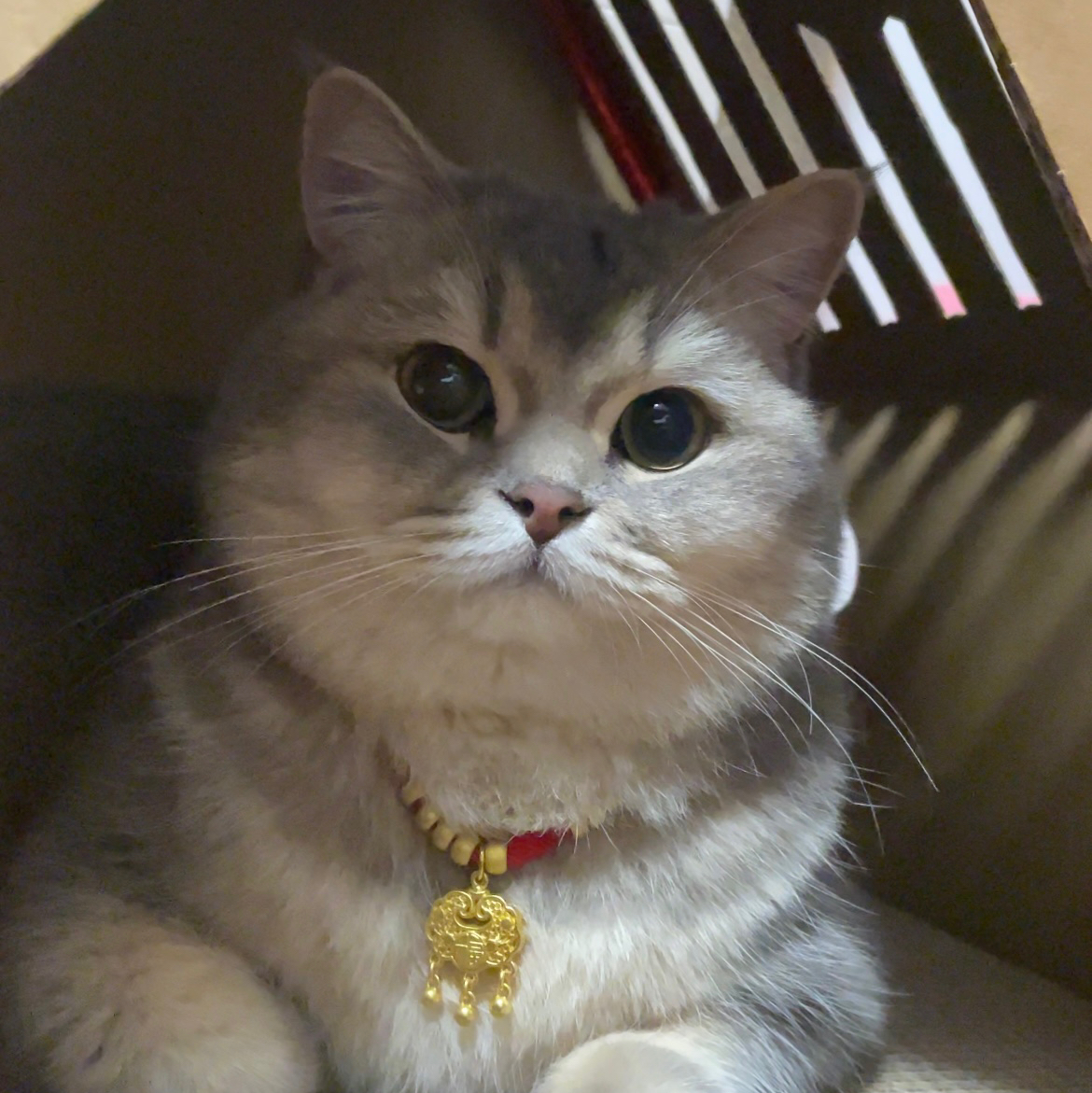 wuiizoo创作者主页_成都UI设计师-站酷ZCOOL