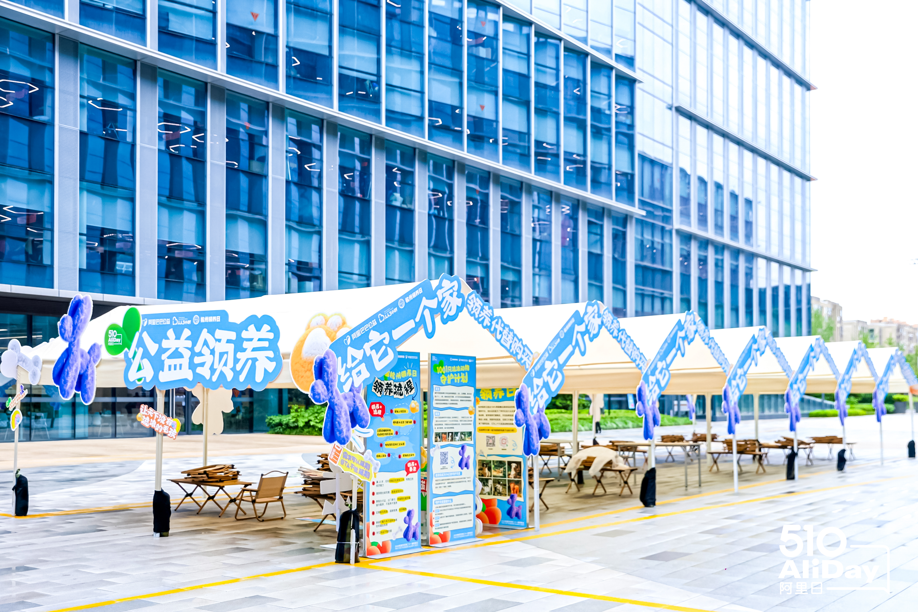 2025阿里集团510亲友日丨因为有你 春暖花开_盘马弯弓PMWG-站酷ZCOOL