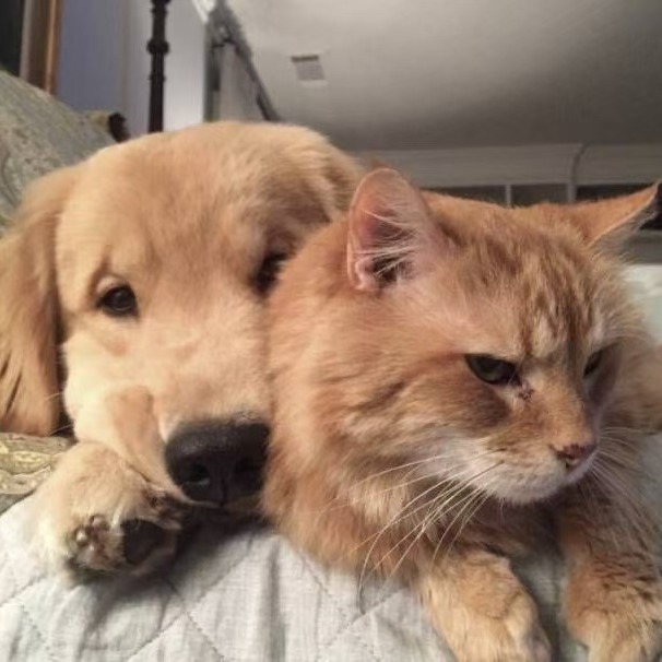 里理由零创作者主页_武汉学生-站酷ZCOOL