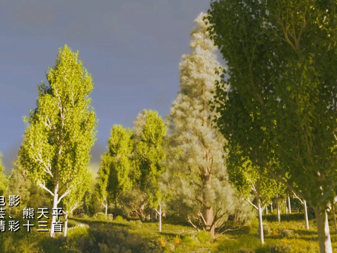 MV_CGMPlayer-站酷ZCOOL