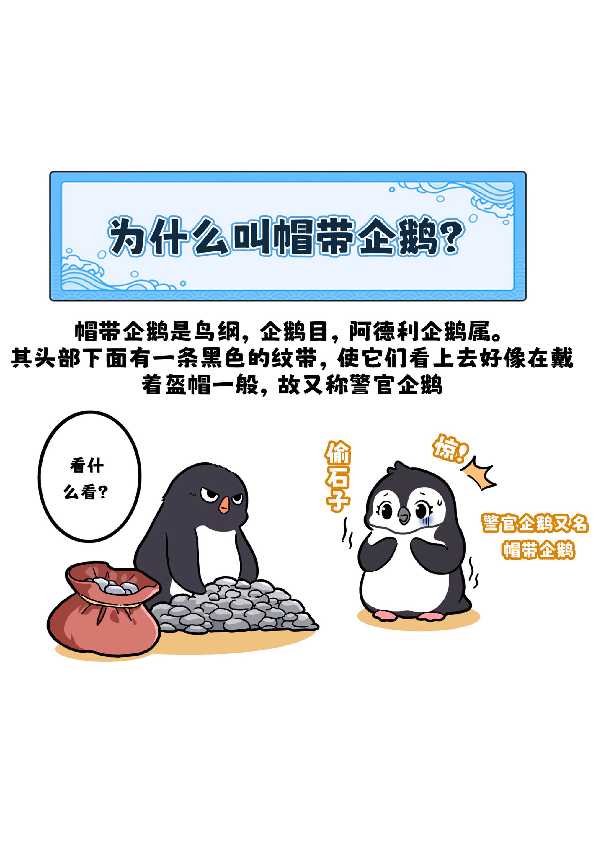 为何你们叫帽带企鹅_巴蒂Buddy-站酷ZCOOL