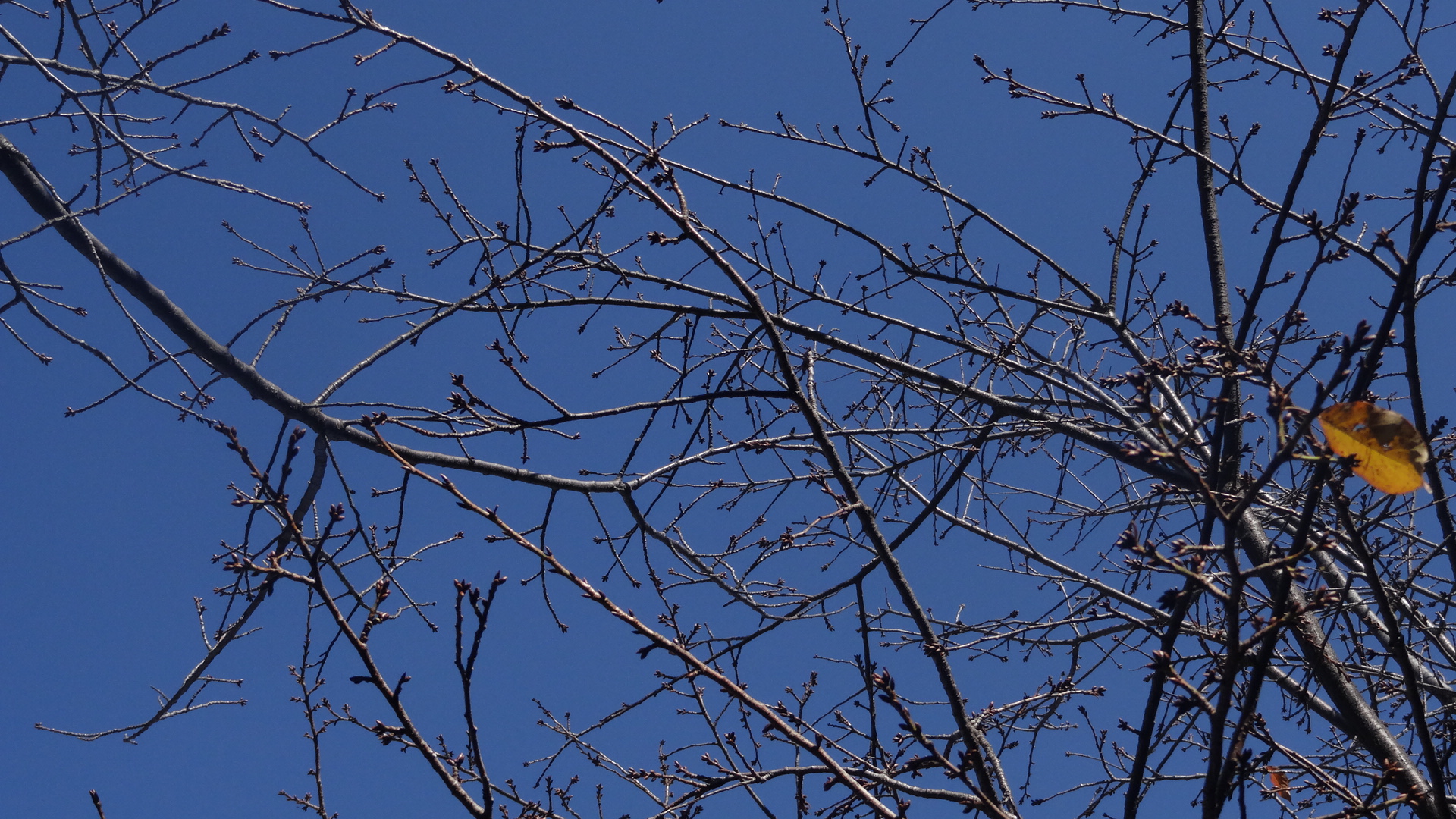 作品集_cuffm-站酷ZCOOL